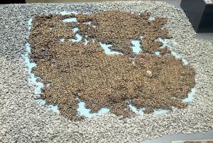 Rings of Steel: The Evolution and Impact of Chain Mail